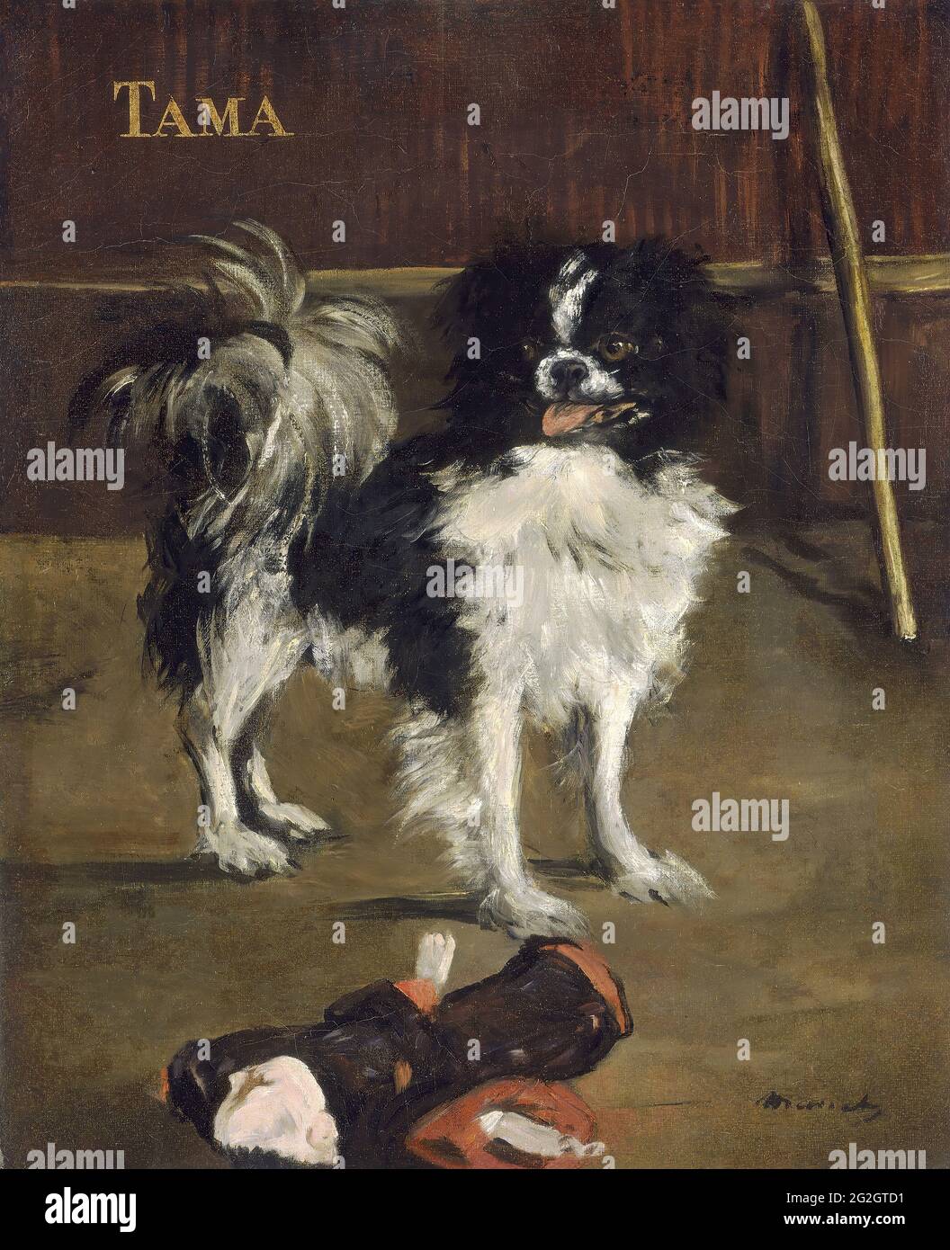 Edouard Manet - Tama the Japanese Dog Stock Photo - Alamy