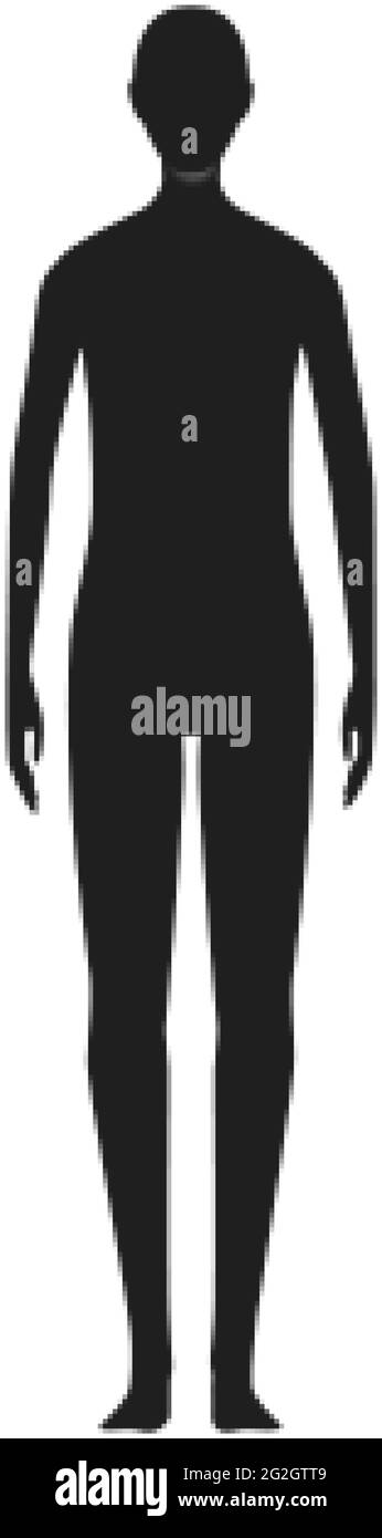 Male anatomy front and back view Stock Vector Images - Alamy