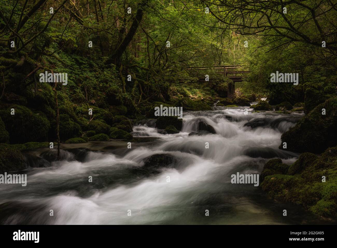 Stream in the Alps Stock Photo - Alamy