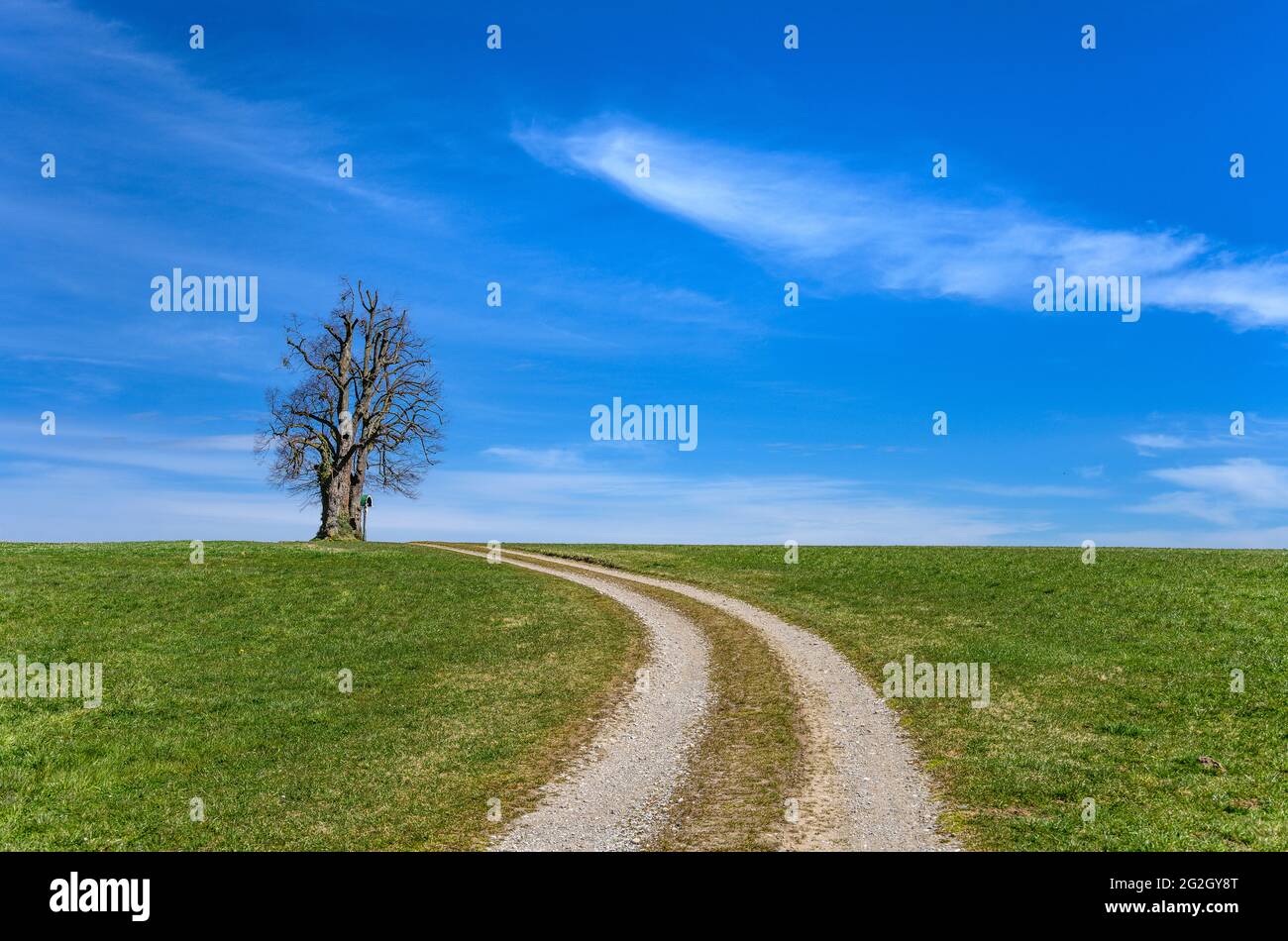 Germany, Bavaria, Upper Bavaria, Ebersberg district, Baiern, district ...