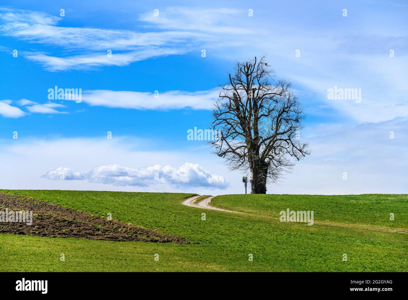 Cultural ecology hi-res stock photography and images - Alamy