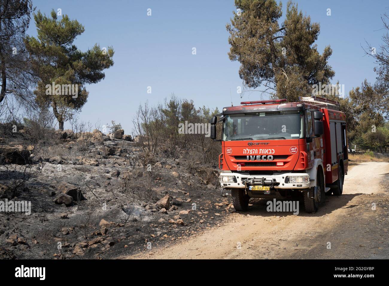 After a large wildfire hi-res stock photography and images - Alamy