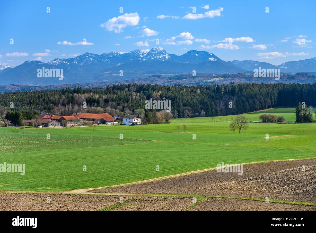 Cultural landscape with district of wertach against wendelstein massif ...