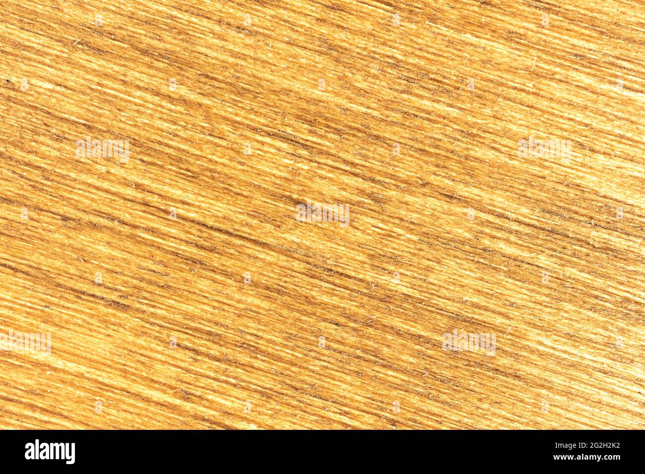 Old rough wood texture and pattern, high detailed wooden surface ...