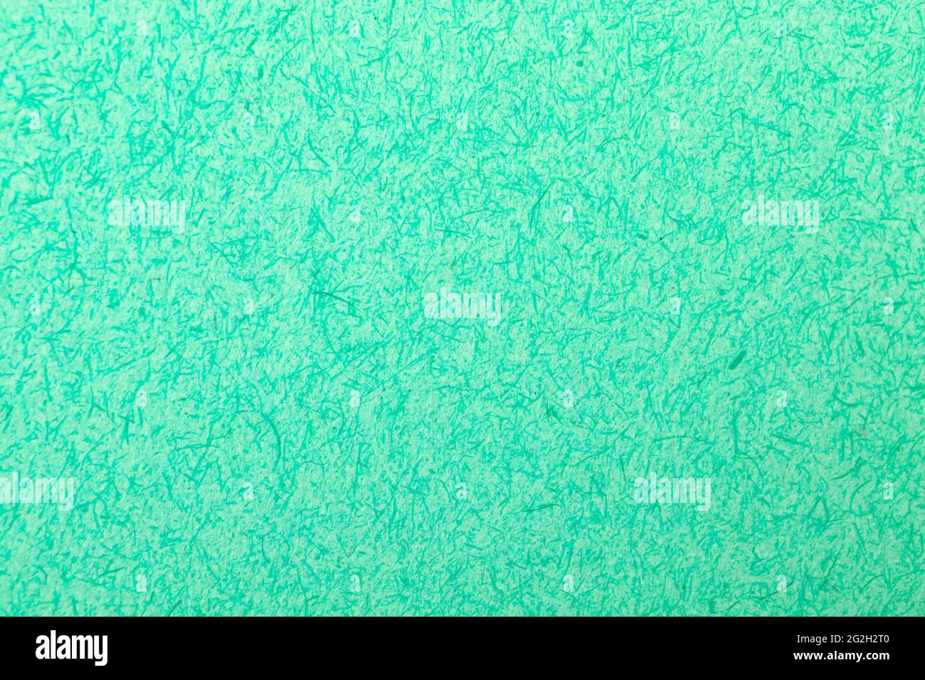 Mint paper texture close-up, grainy surface background photo Stock ...