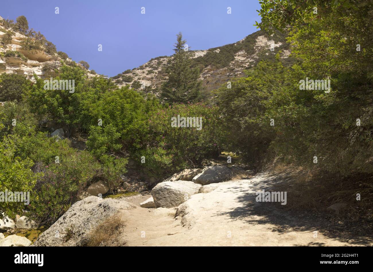 Hiking trail along the river, surrounded by dense vegetation and steep ...