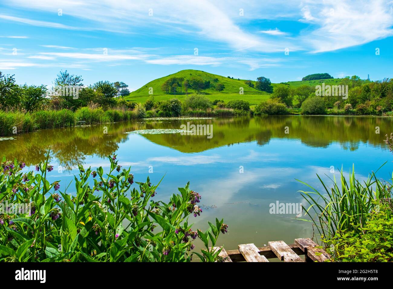 Beachborugh Lakes, Kent, UK Stock Photo - Alamy