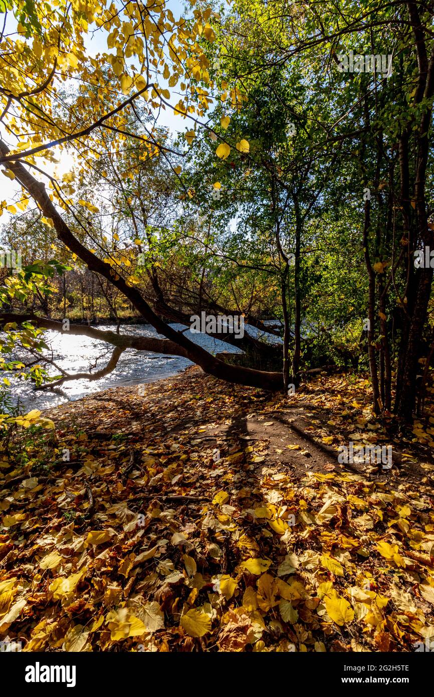 Bending respect hi-res stock photography and images - Alamy