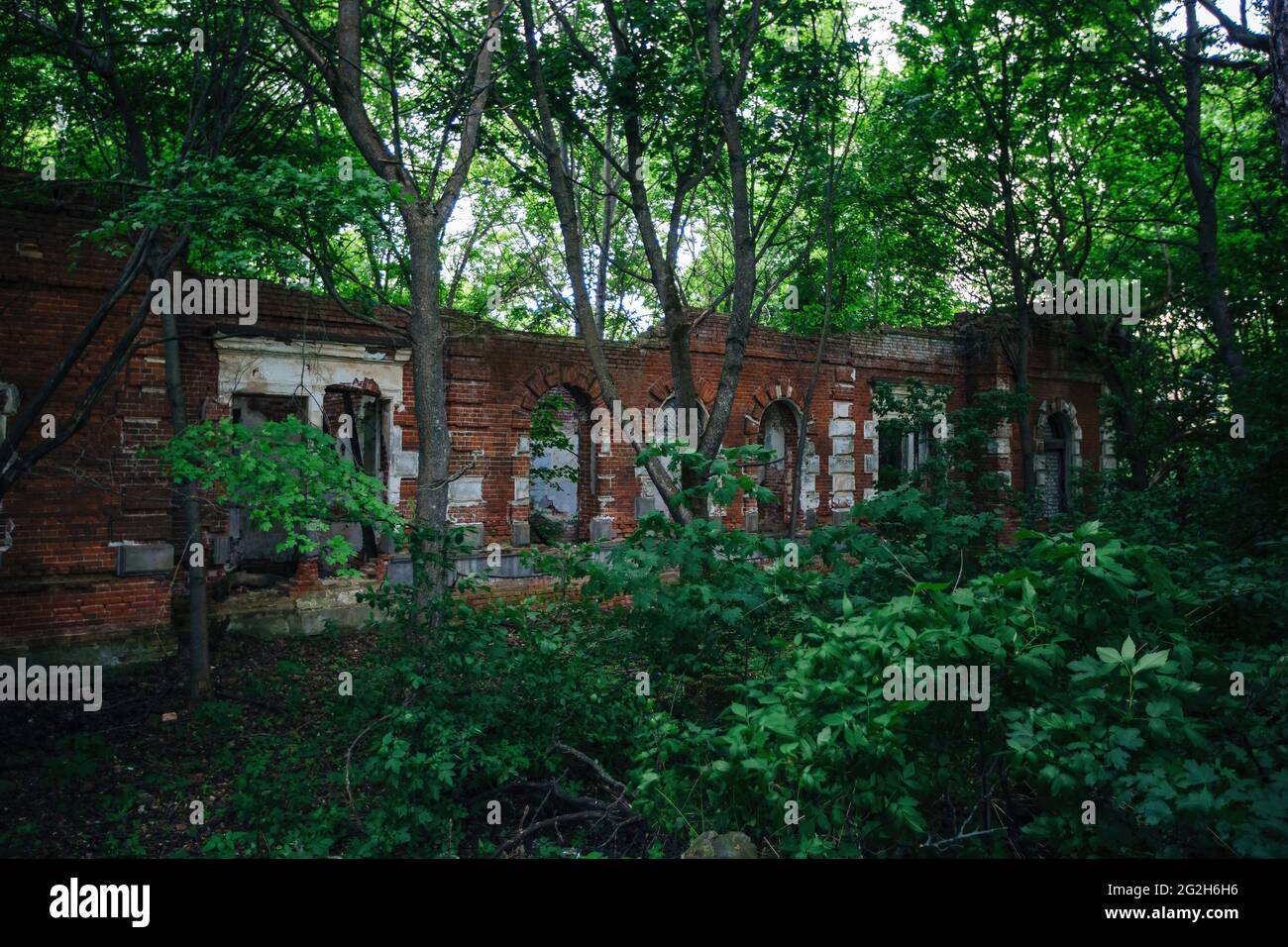 Overgrown ruins of abandoned mansion. Former baron von Derviz manor ...