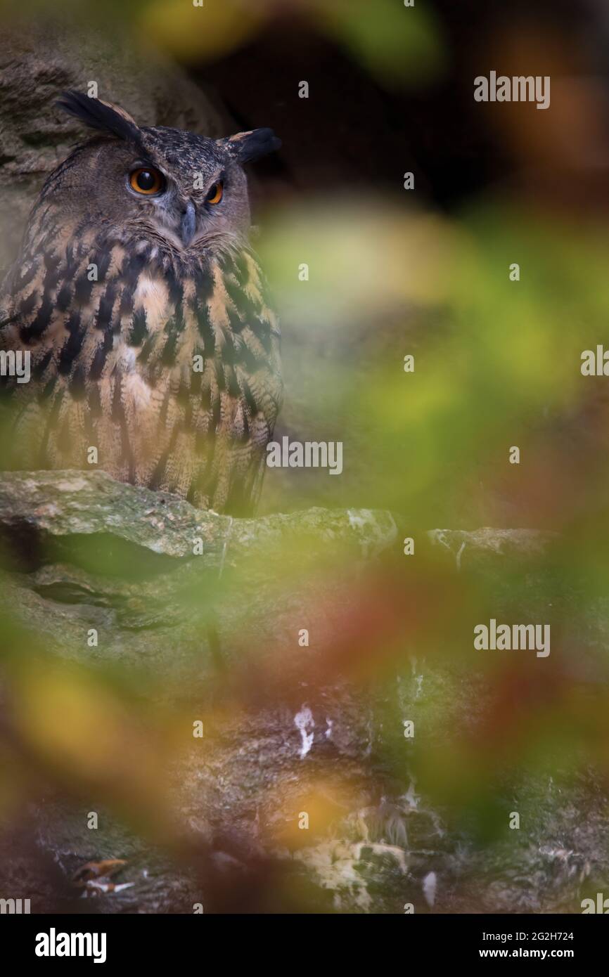 Free area hi-res stock photography and images - Alamy