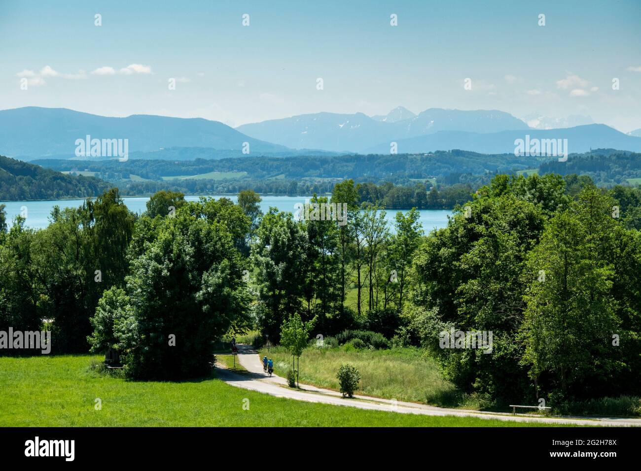 Tachinger See, Waginger See, Rupertiwinkel, Upper Bavaria, Bavaria ...