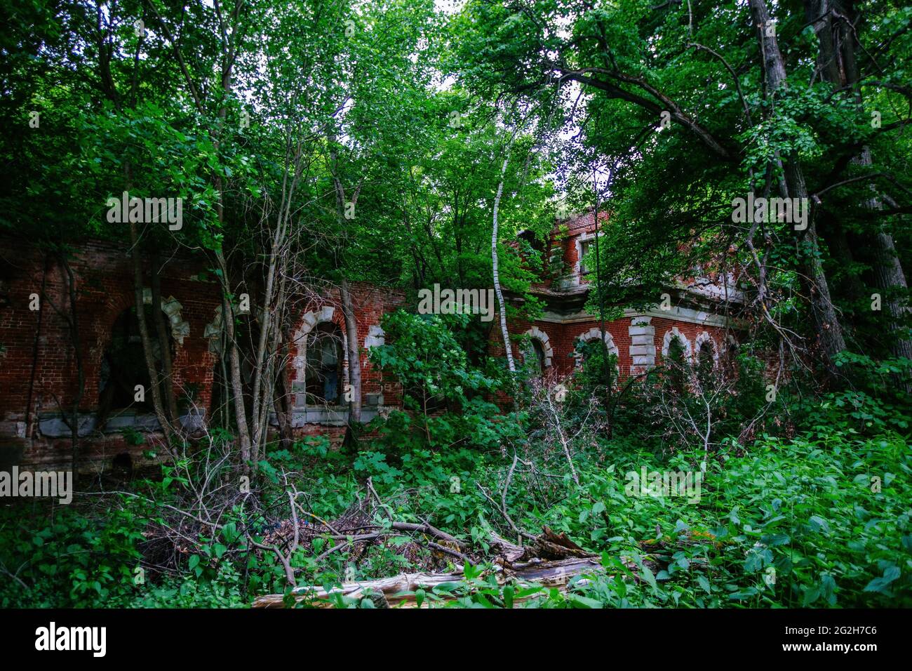 Overgrown ruins of abandoned mansion. Former baron von Derviz manor ...