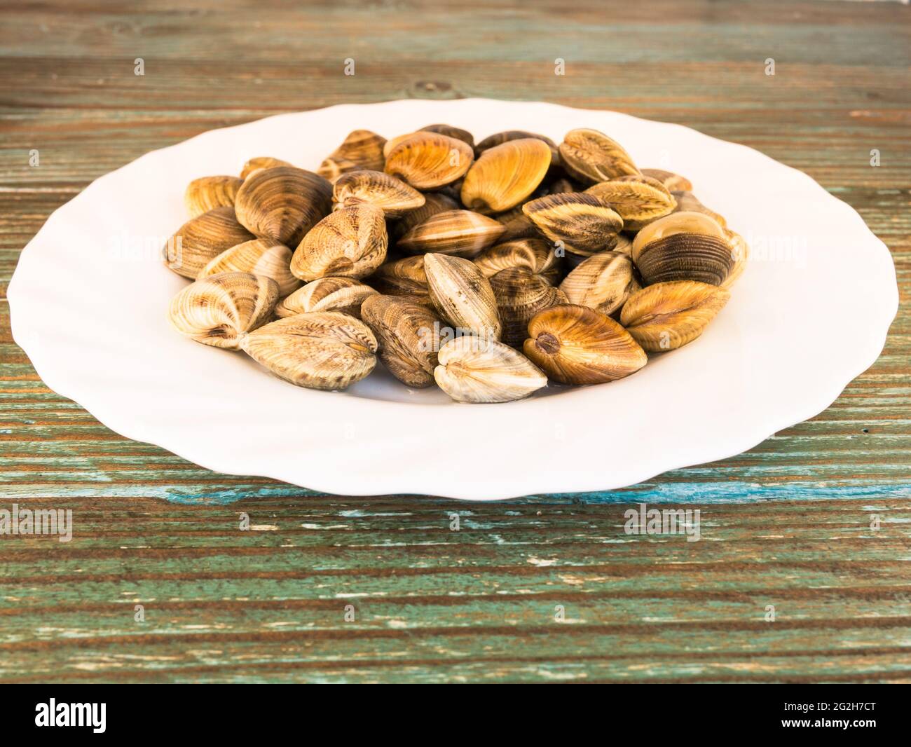 Closeup shot of clams on a white plate Stock Photo - Alamy