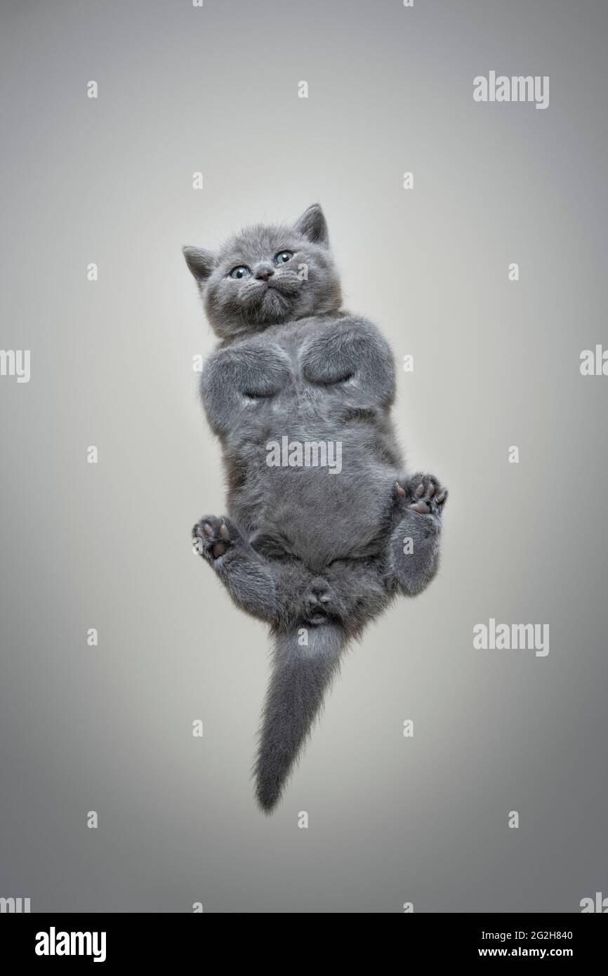 Bottom looking up view angle hi-res stock photography and images - Alamy