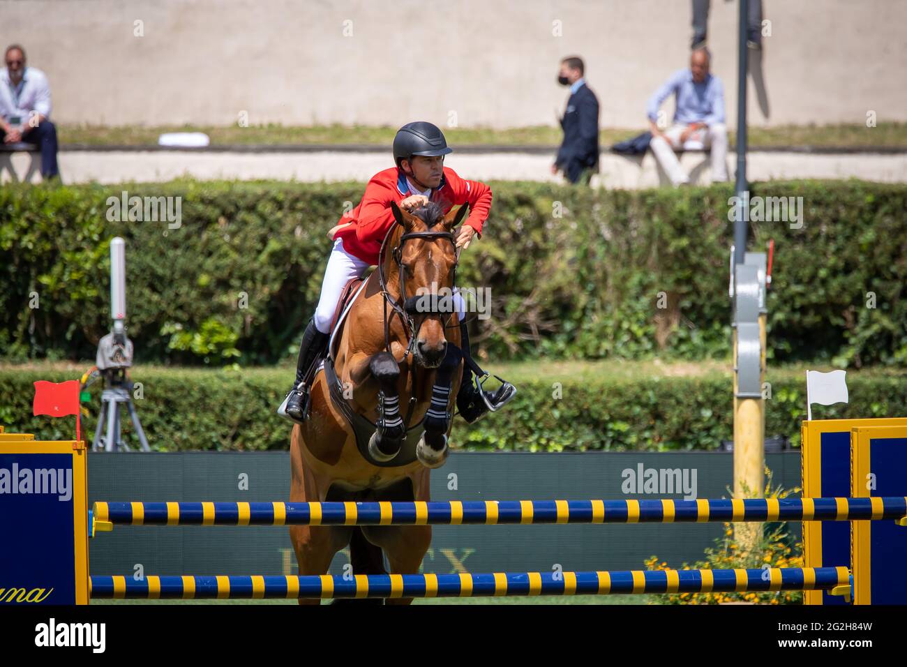 Gazelle jumping hi-res stock photography and images - Alamy