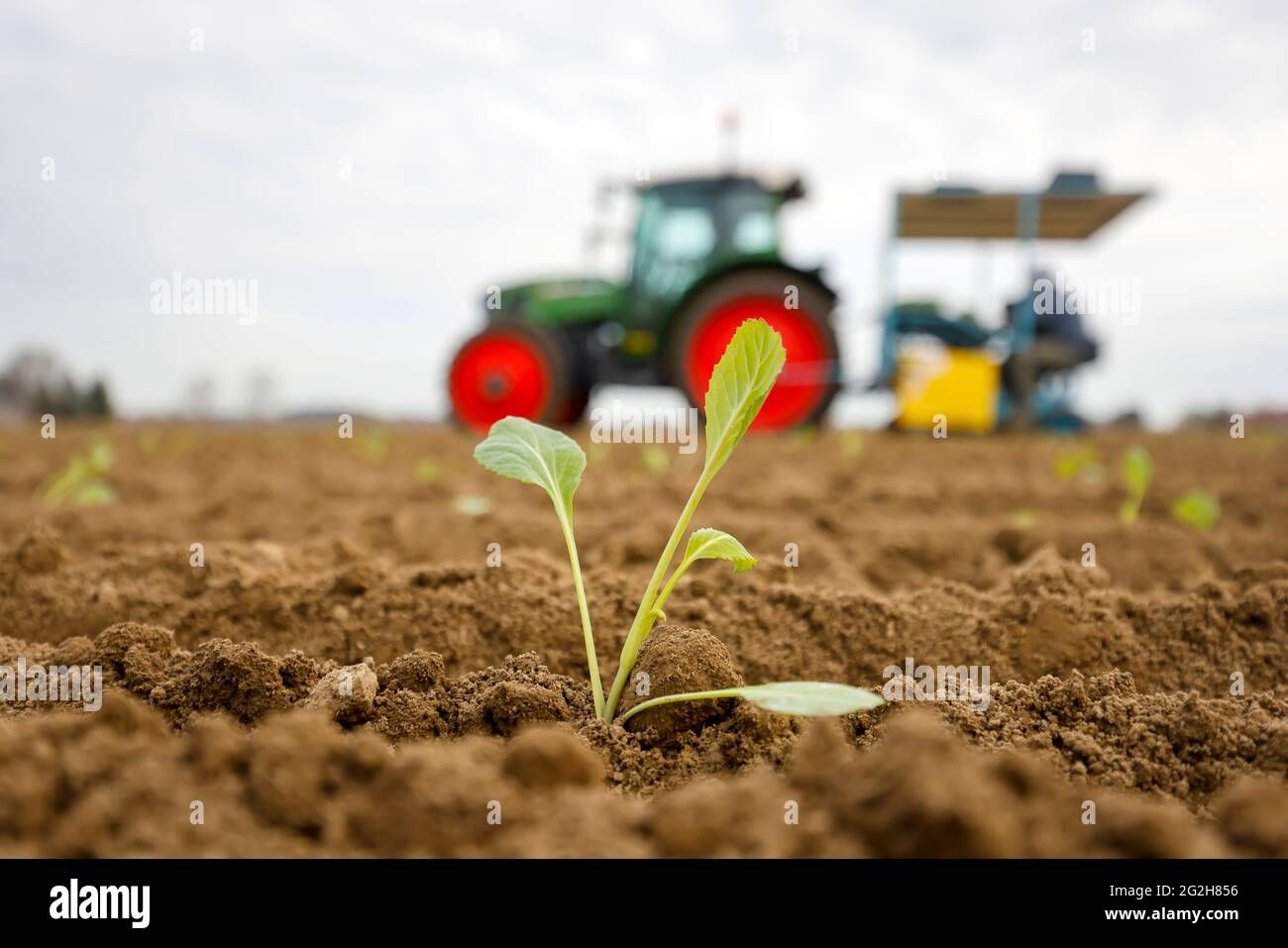 Planting machine hi-res stock photography and images - Alamy