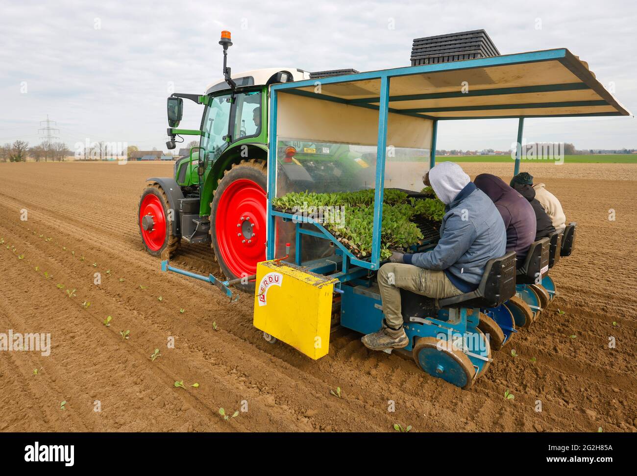 Planting machine hi-res stock photography and images - Alamy