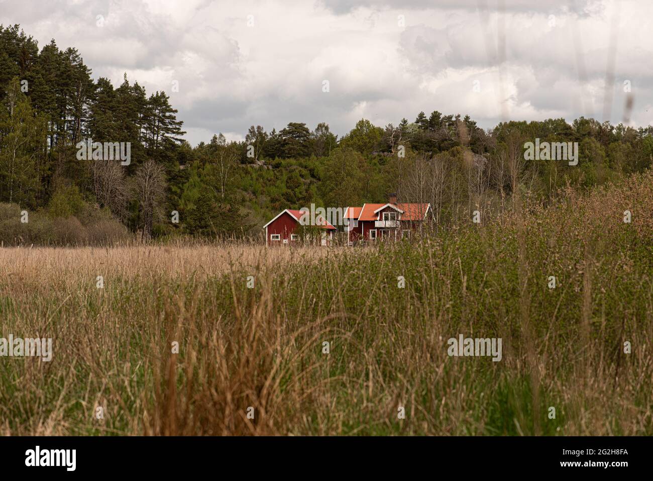 Small farm by a field near a forest Stock Photo - Alamy