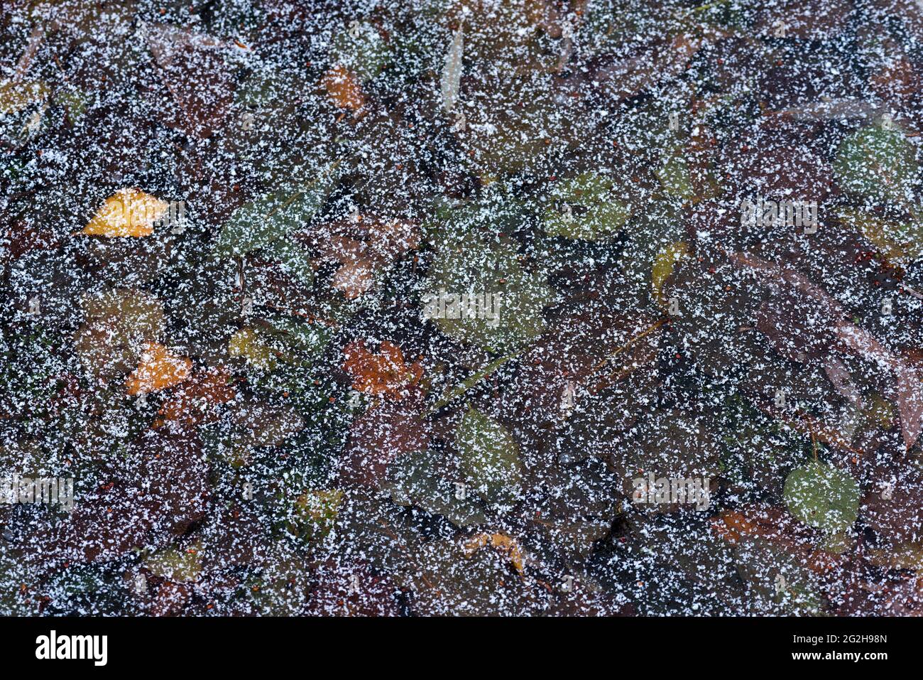 Grand ried alsace hi-res stock photography and images - Alamy