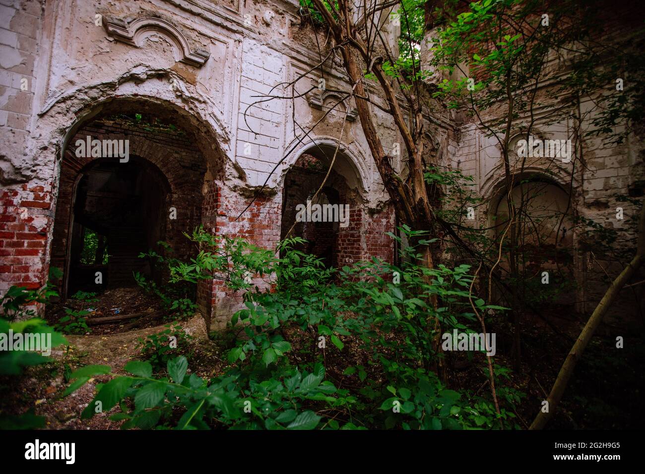 Overgrown ruins of abandoned mansion. Former baron von Derviz manor ...
