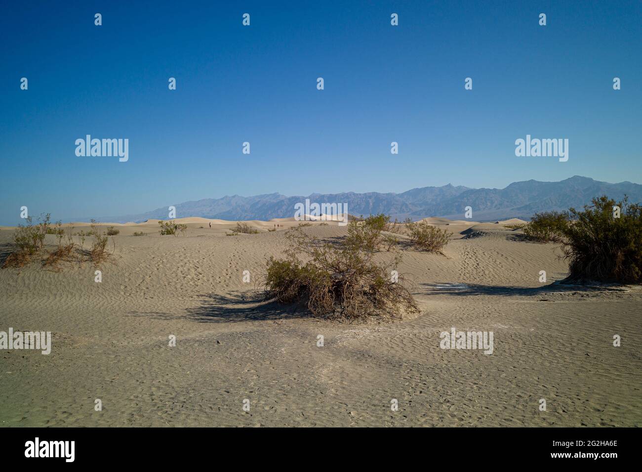 Daytime at Mesquite Flat Sand Dunes in Death Valley National Park ...