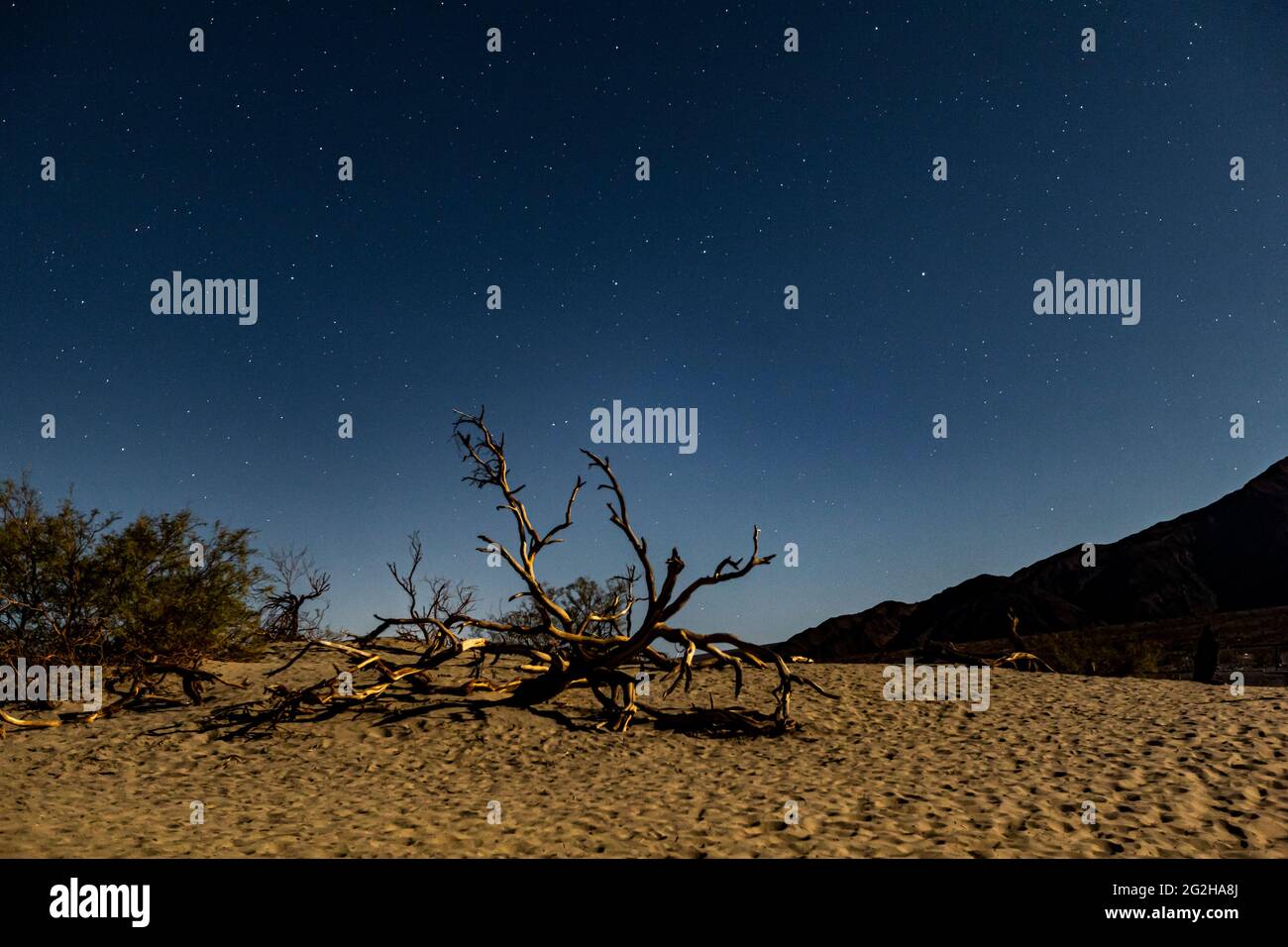 Nighttime photography in Mesquite Flat Sand Dunes in Death Valley ...