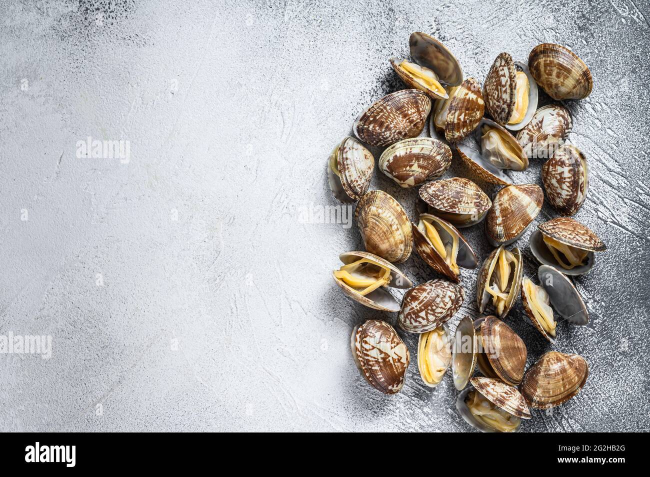 Fresh Steamed Clams on the kitchen table. White background. Top view ...
