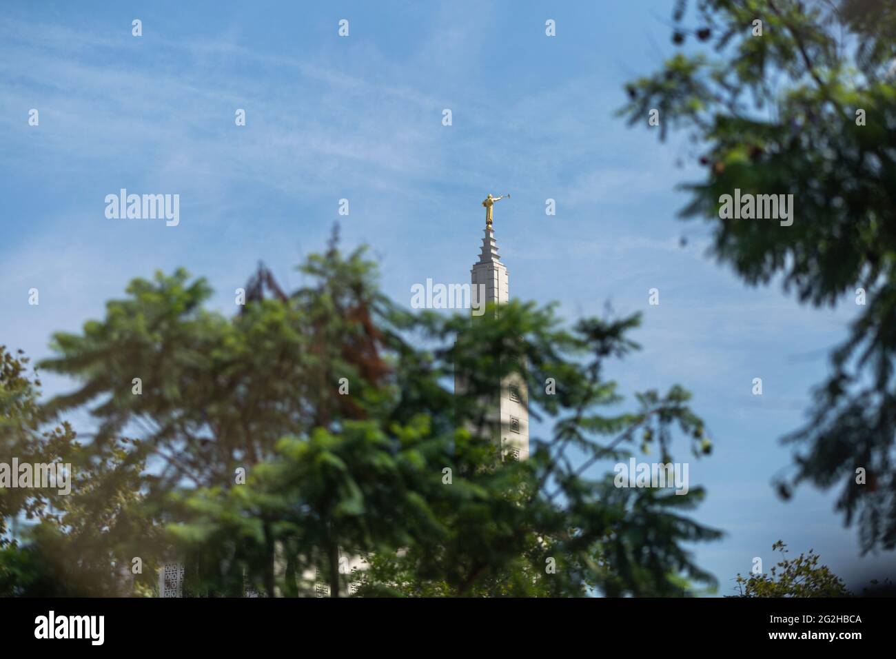 Scene in Beverly Hills, Los Angeles, California, USA Stock Photo - Alamy