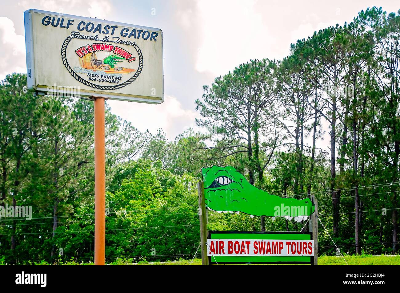 Alligator farm sign hi-res stock photography and images - Alamy