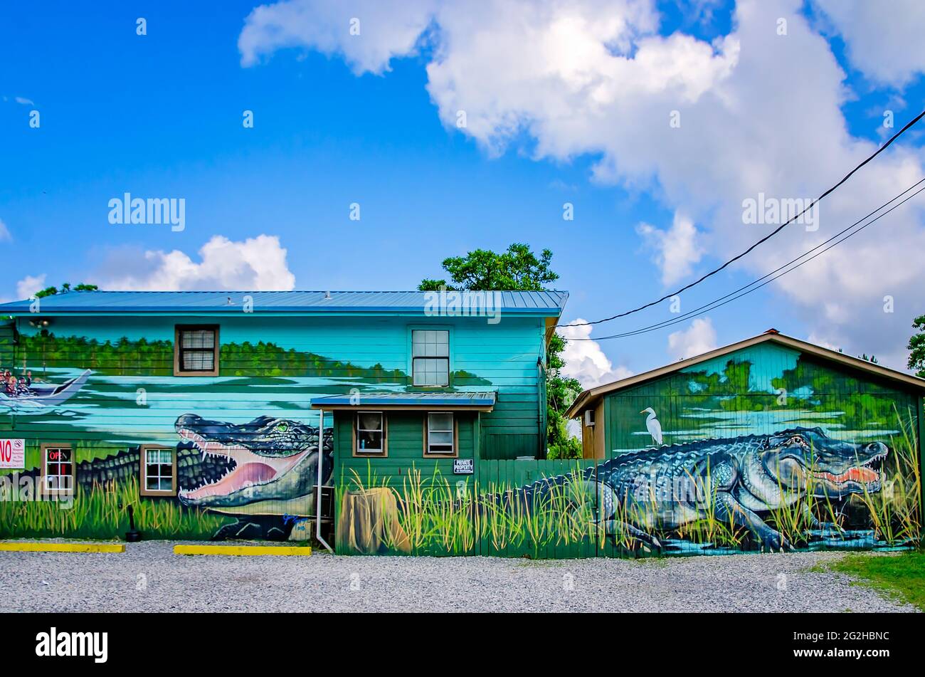 The Gulf Coast Gator Ranch and Tours building features a mural of ...