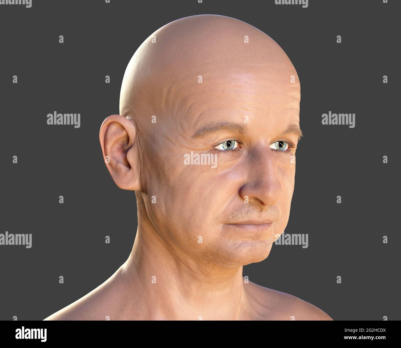 Middle aged man without hair, illustration Stock Photo - Alamy