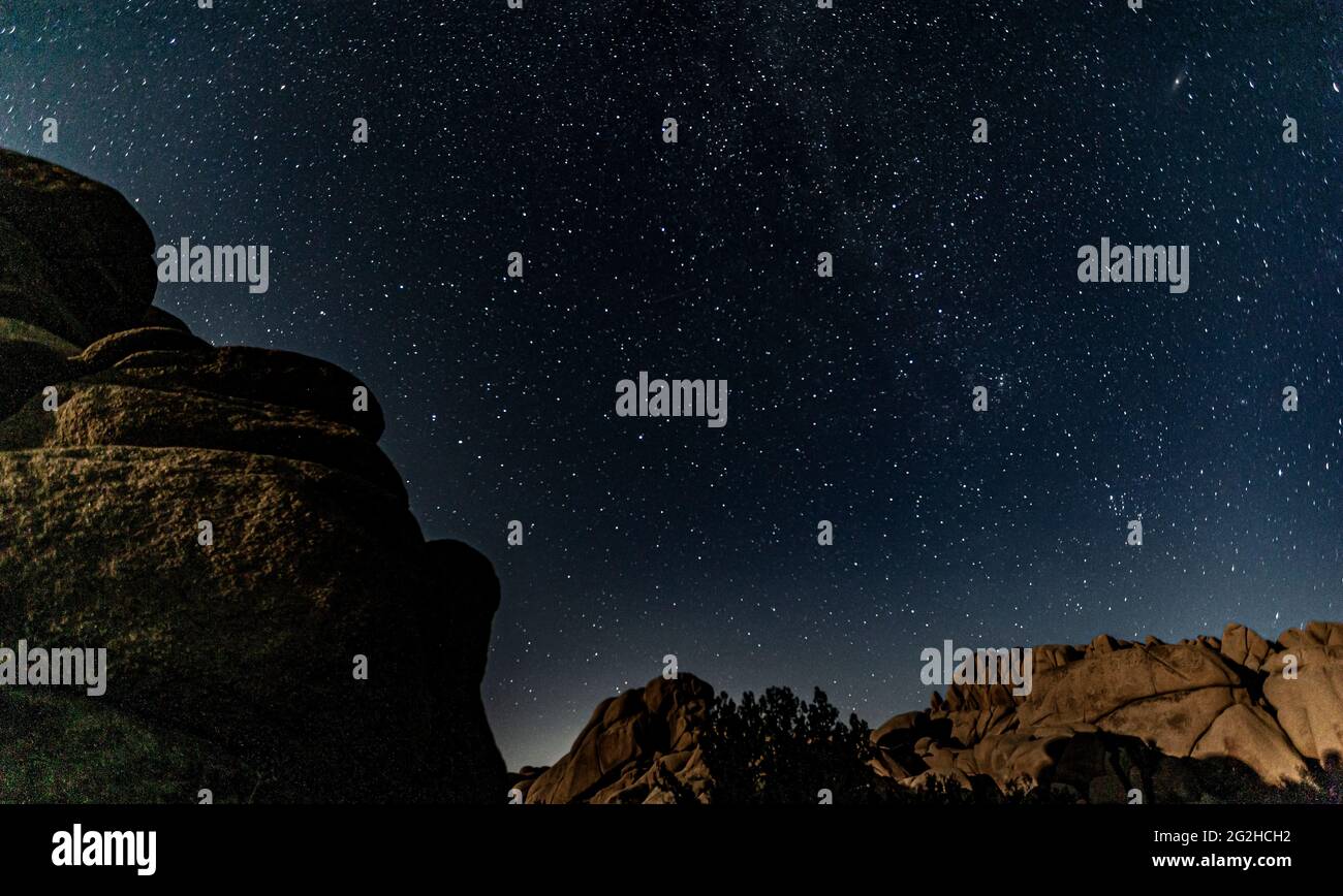 The night sky peppered with thousands of stars over Joshua Tree in ...