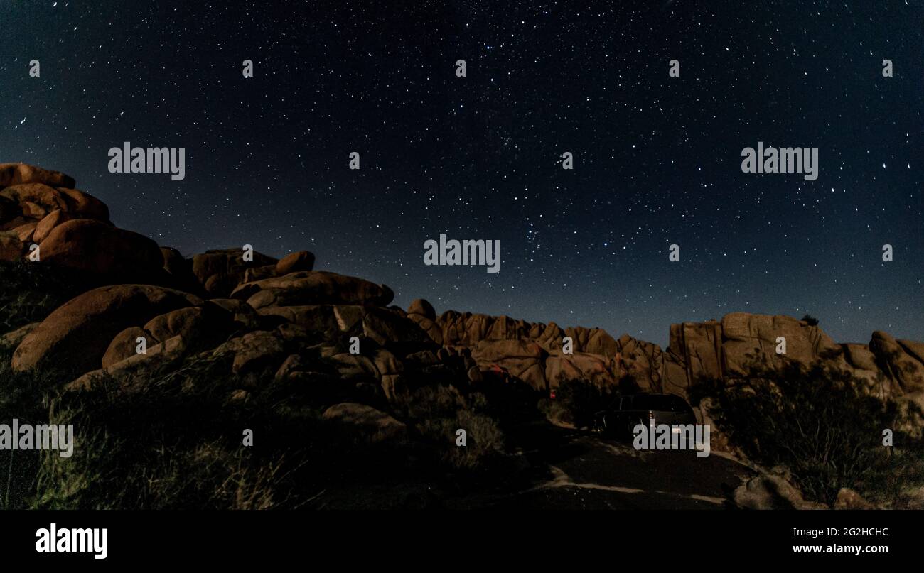 Stars sky tree hi-res stock photography and images - Alamy