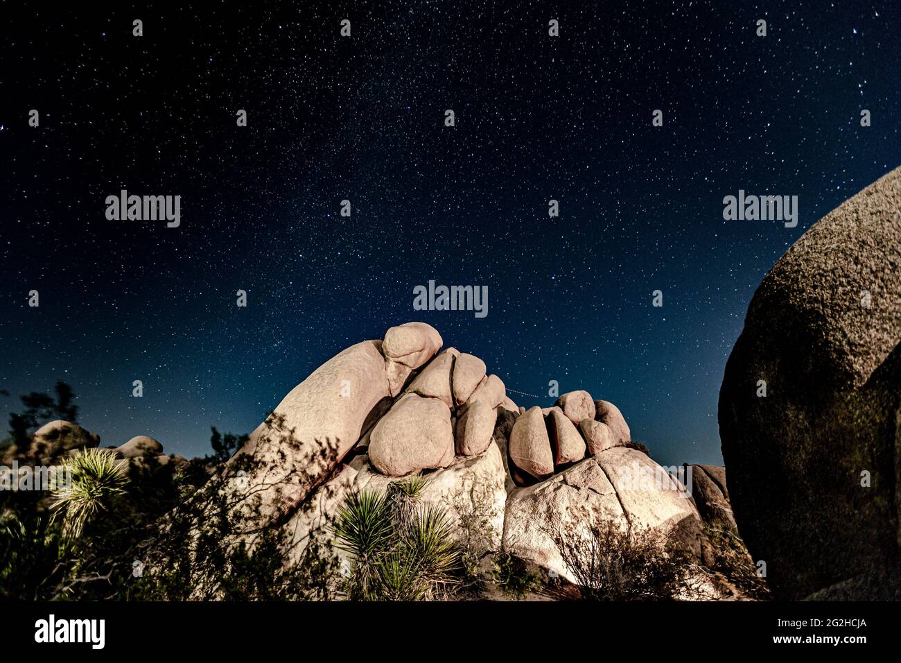 The night sky peppered with thousands of stars over Joshua Tree in ...
