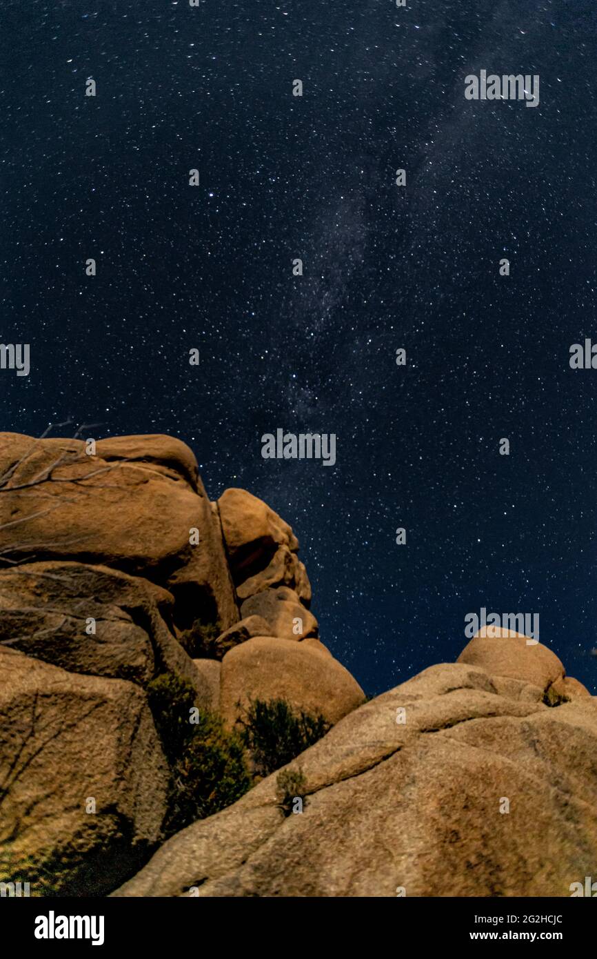 The night sky peppered with thousands of stars over Joshua Tree in ...