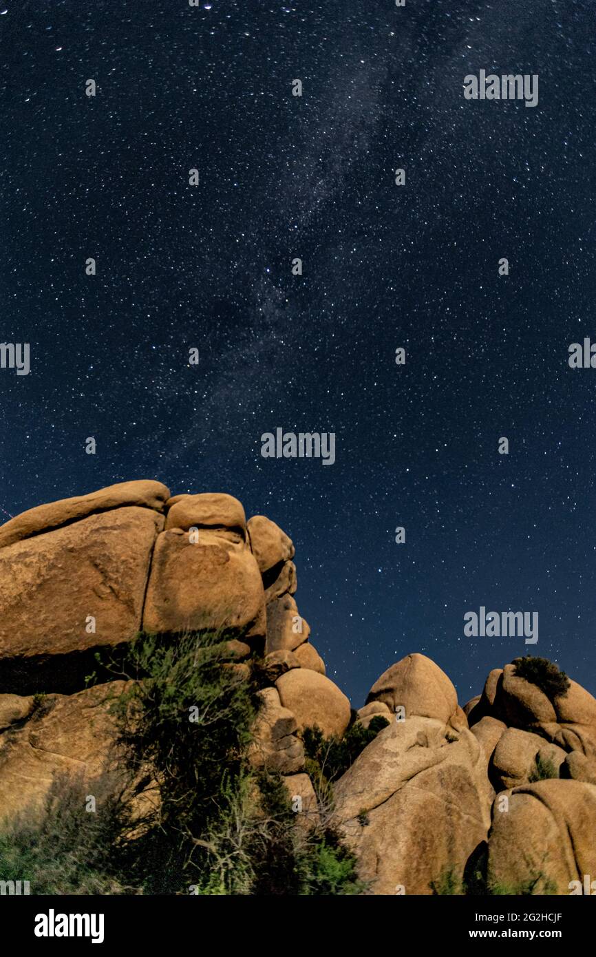 The night sky peppered with thousands of stars over Joshua Tree in ...