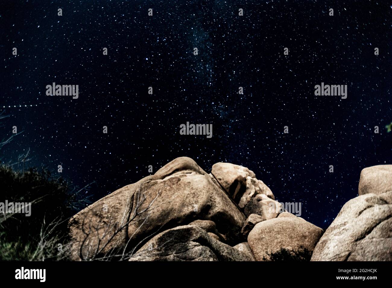 The night sky peppered with thousands of stars over Joshua Tree in ...