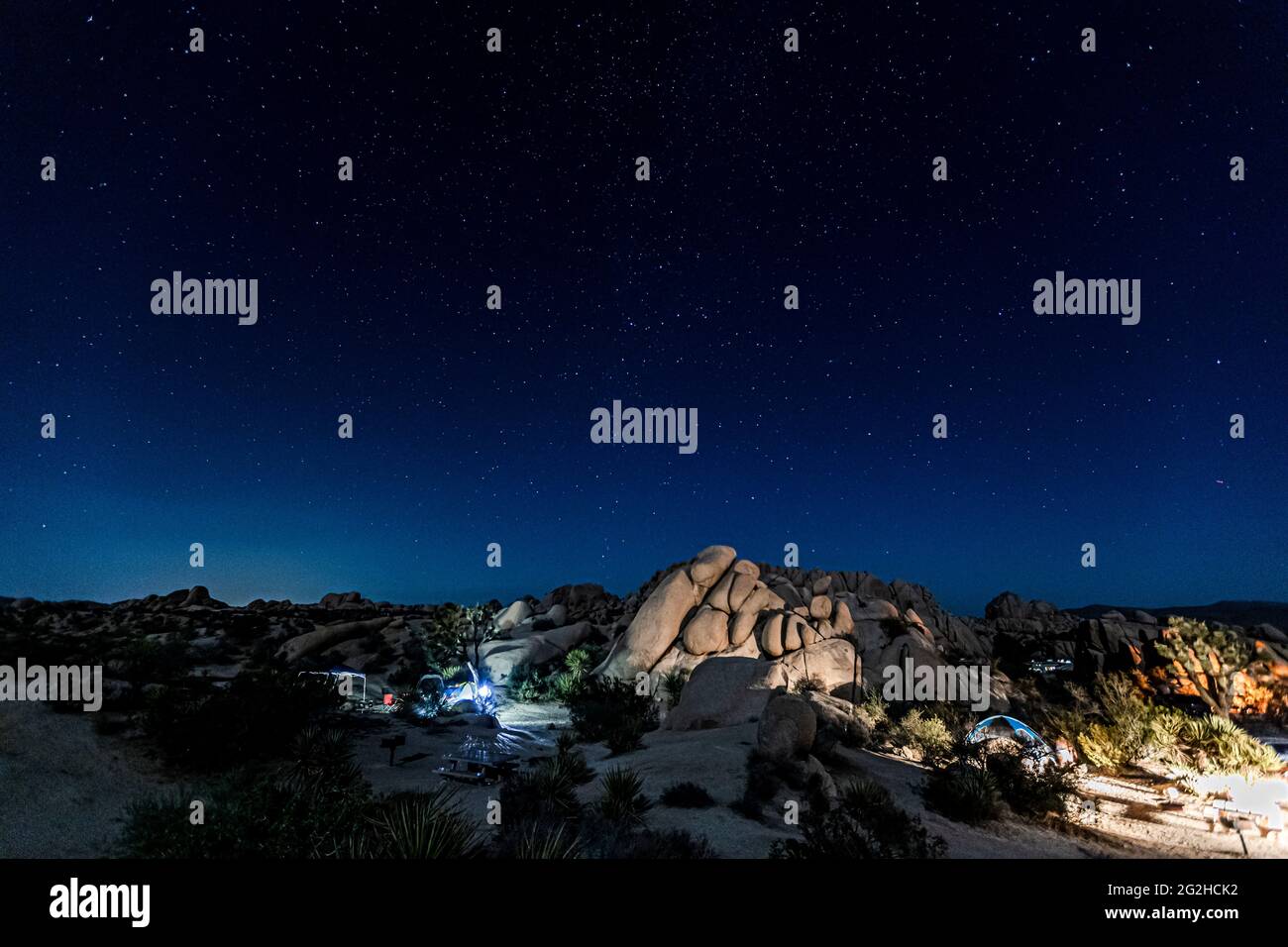 The night sky peppered with thousands of stars over Joshua Tree in ...