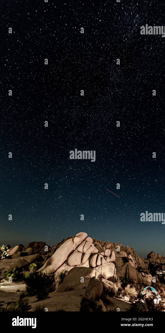 The night sky peppered with thousands of stars over Joshua Tree in ...