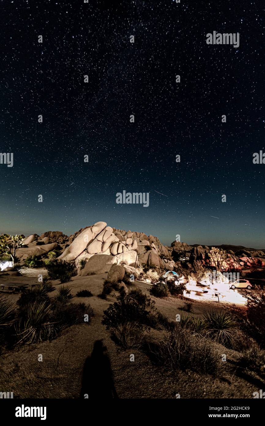 The night sky peppered with thousands of stars over Joshua Tree in ...