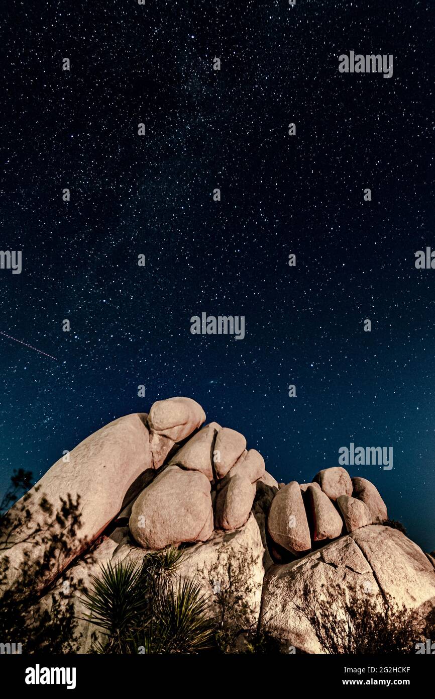 The night sky peppered with thousands of stars over Joshua Tree in ...