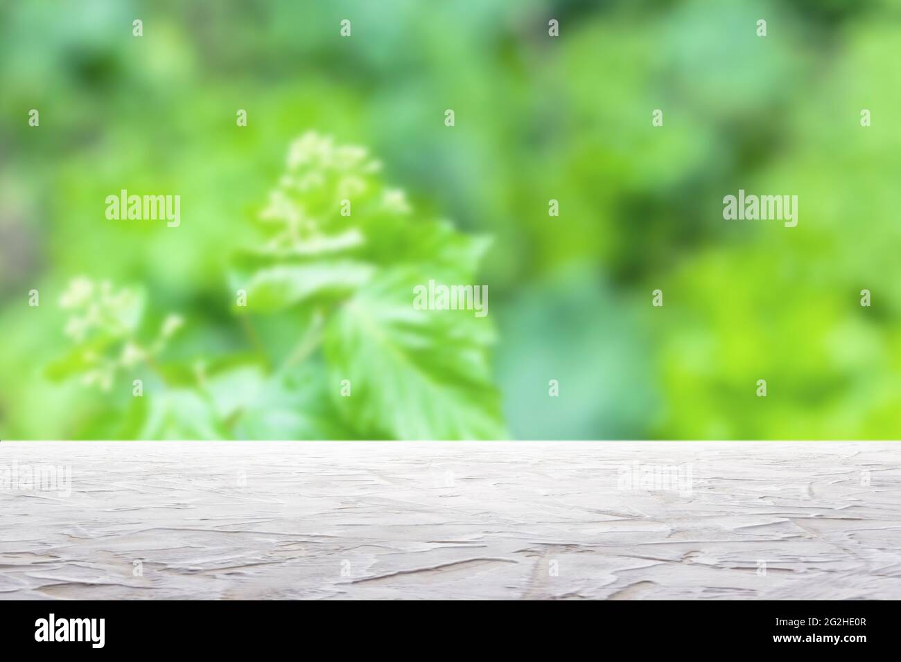 Green bush background hi-res stock photography and images - Alamy