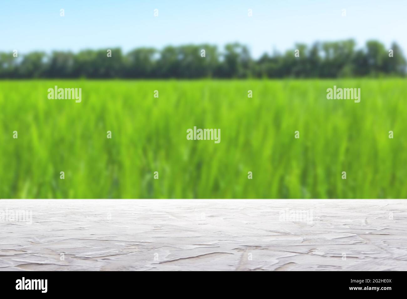textured white surfaceon on blurred field background with grass Stock ...