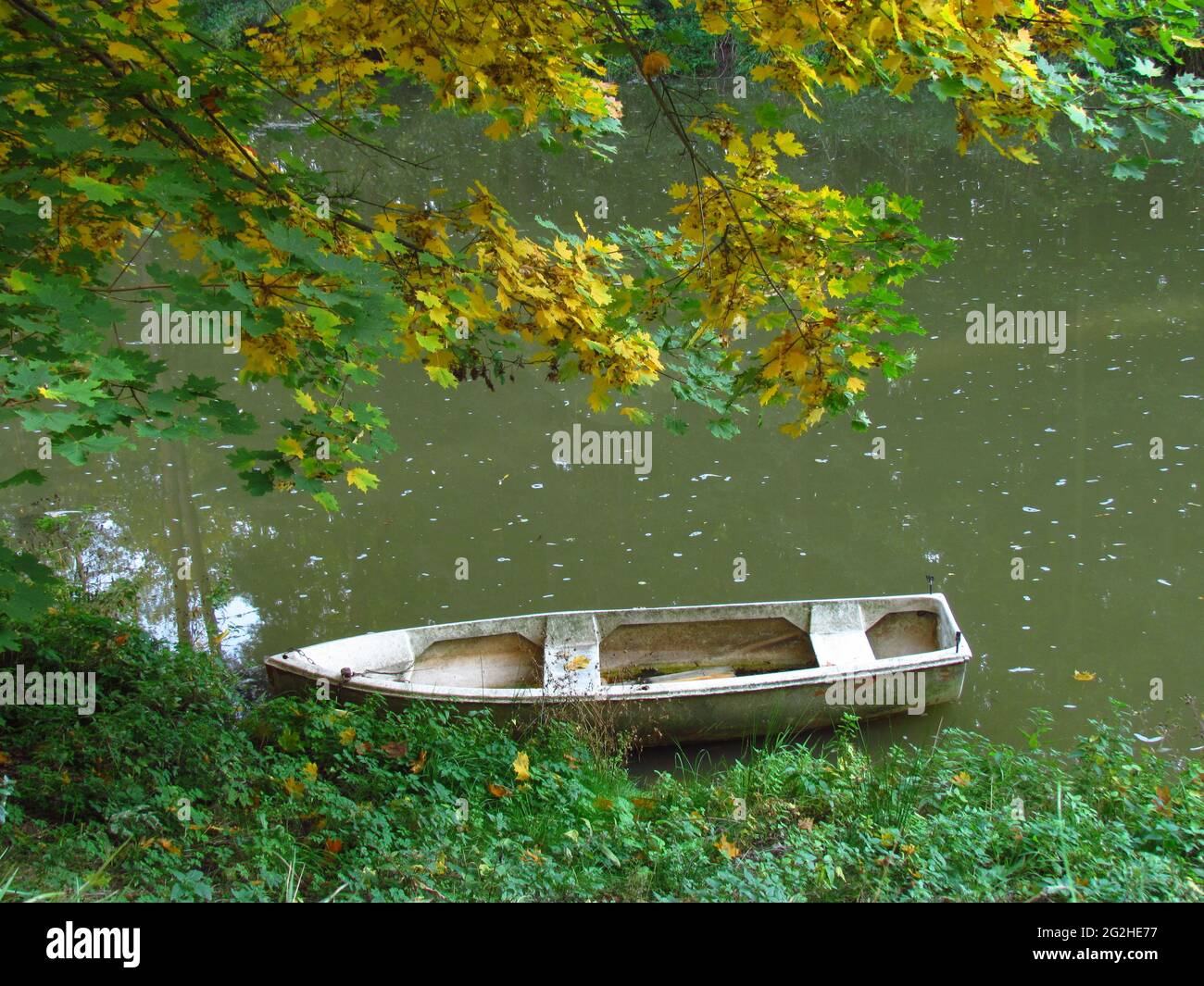 Small fishing boat at the river bank under a tree branch. Autumn ...