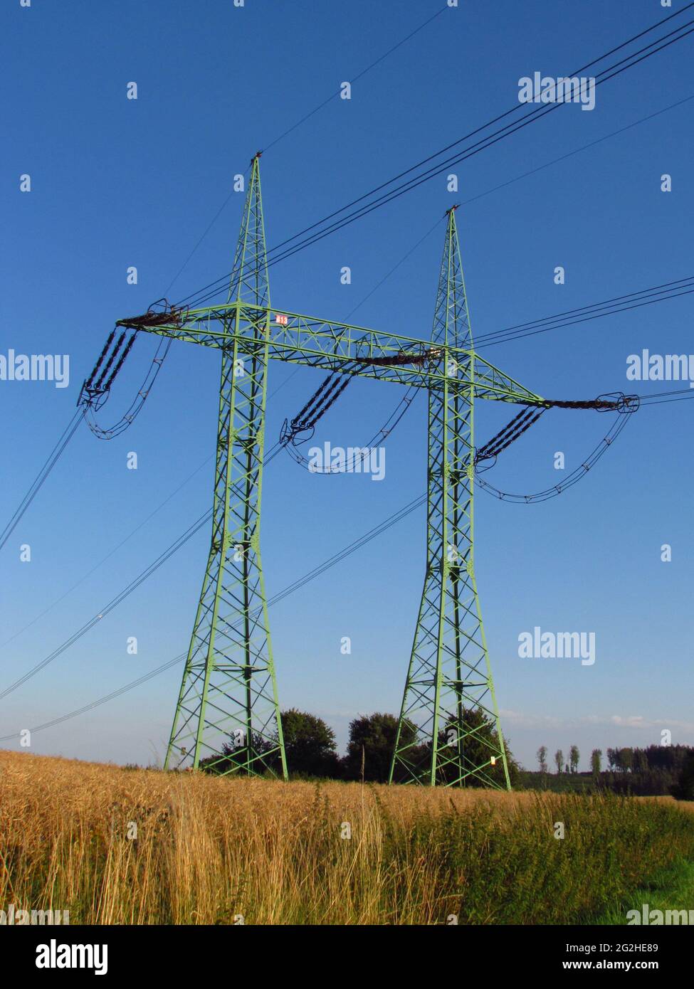 Green pole of high electrical voltage. Distribution of electric current ...