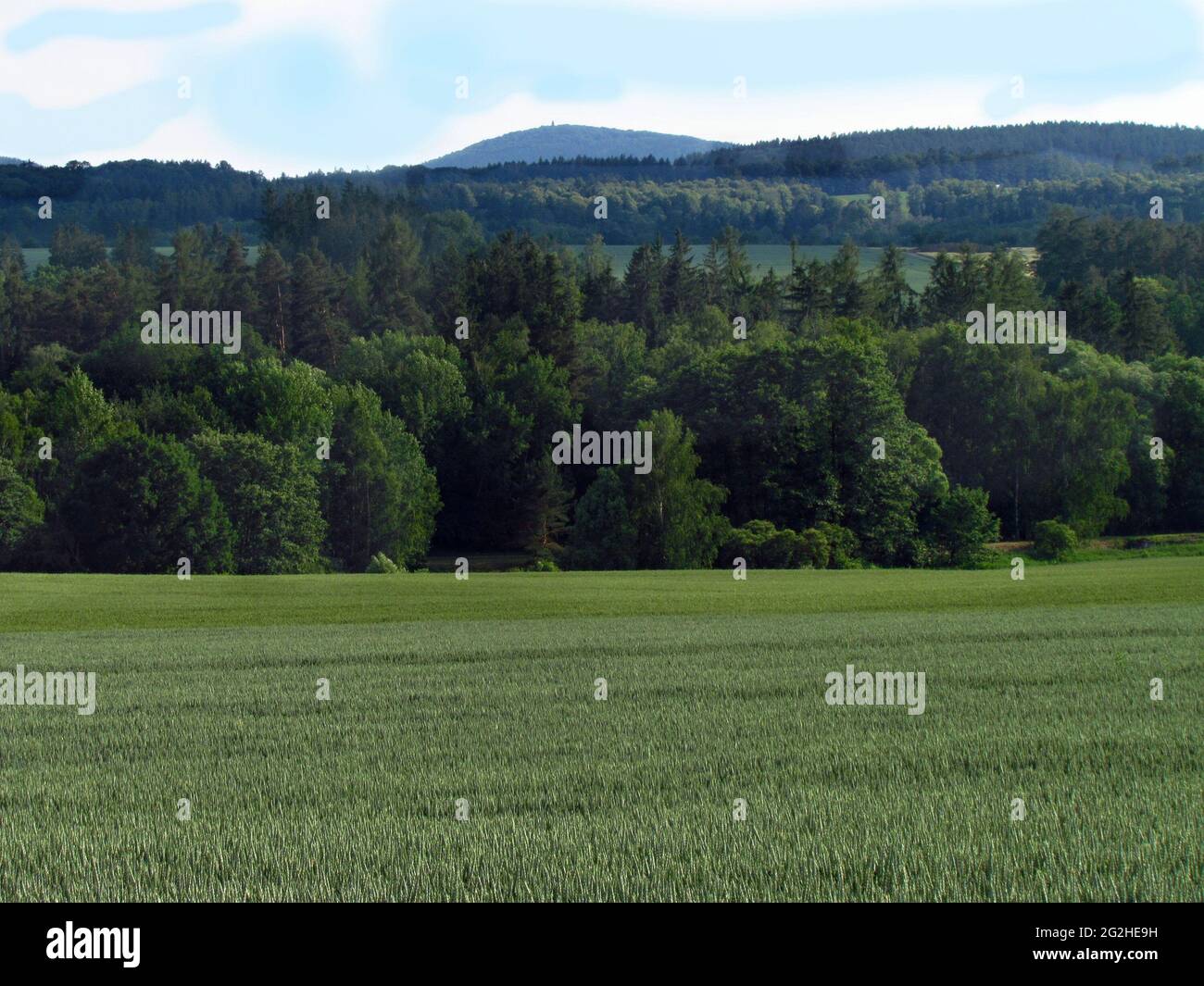 Broken countryside, foreground green meadow, deciduous forest, hills in ...