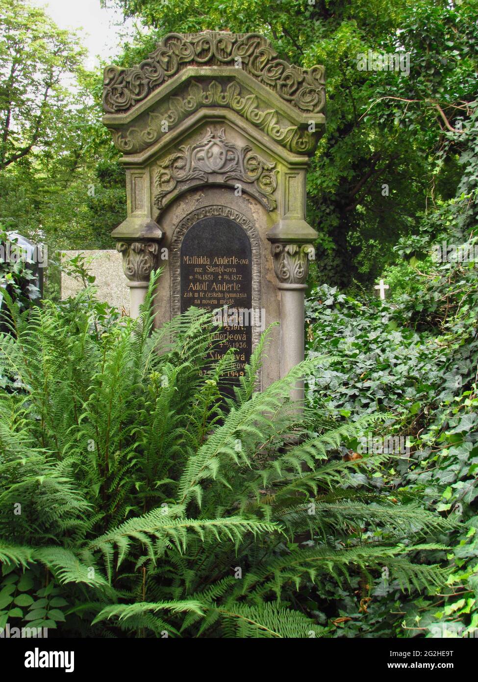 Fern on headstone hi-res stock photography and images - Alamy