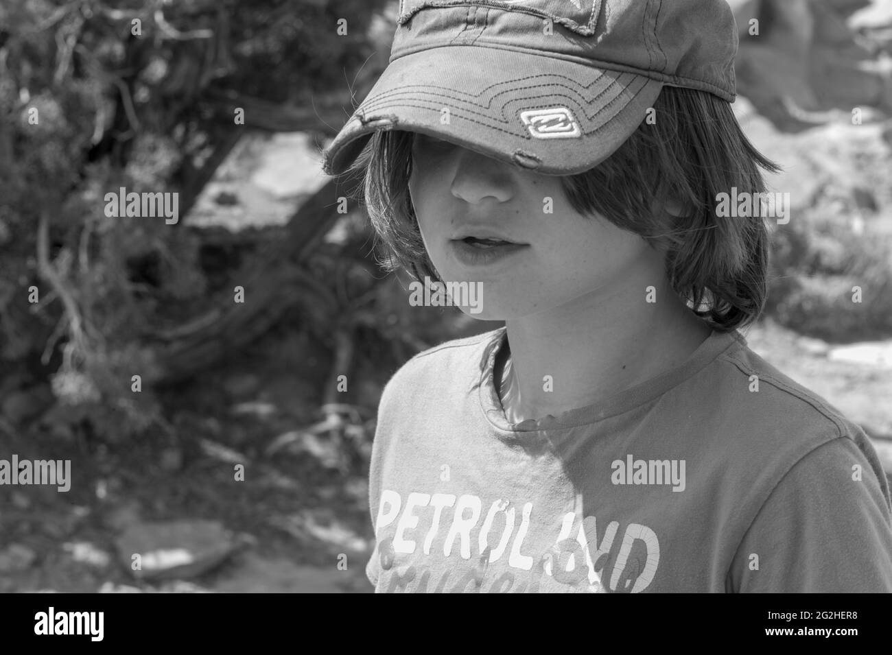 Whale Rock Trail and Viewpoint in Canyonlands National Park, Utah, USA ...
