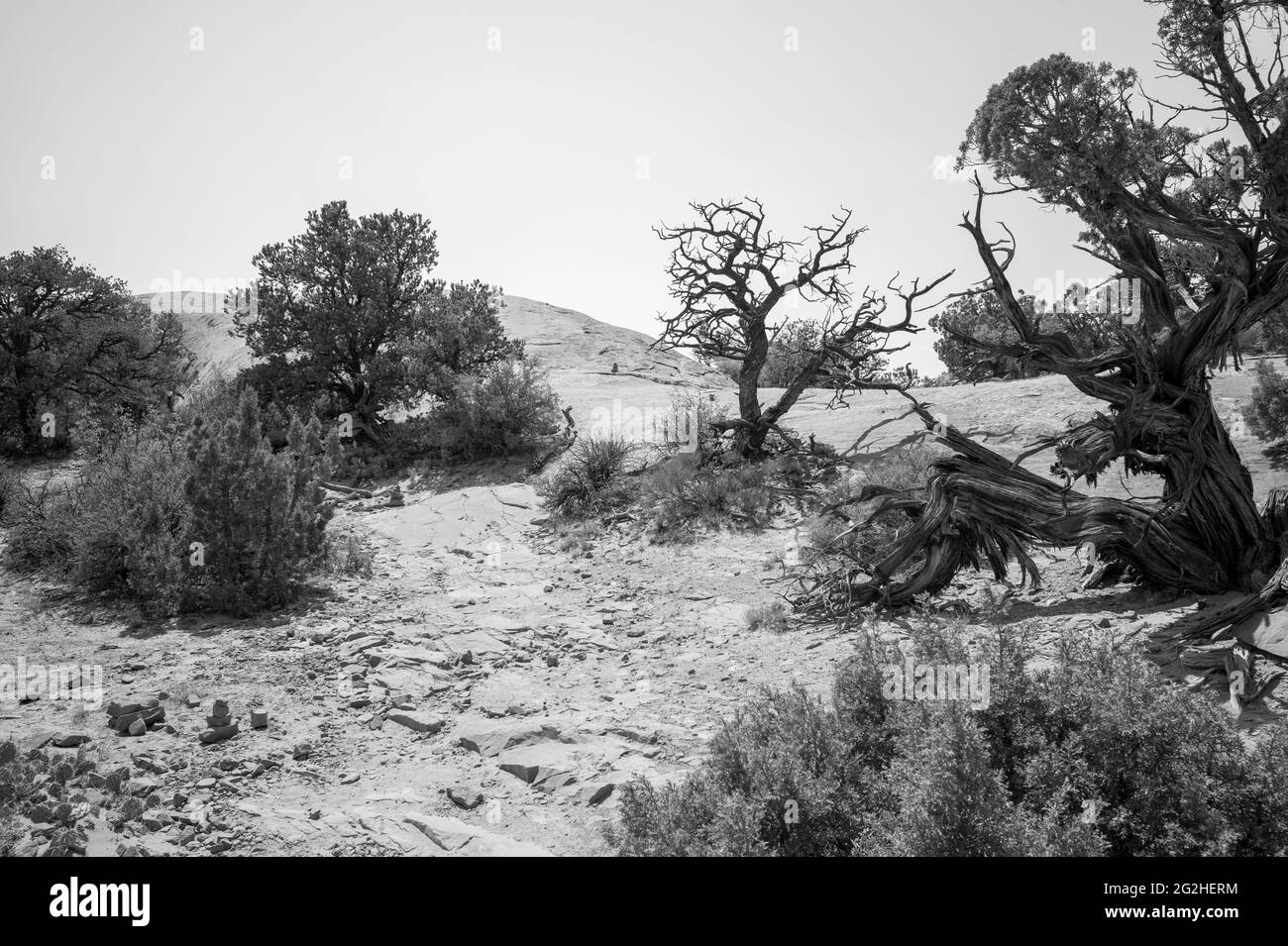 Whale Rock Trail and Viewpoint in Canyonlands National Park, Utah, USA ...
