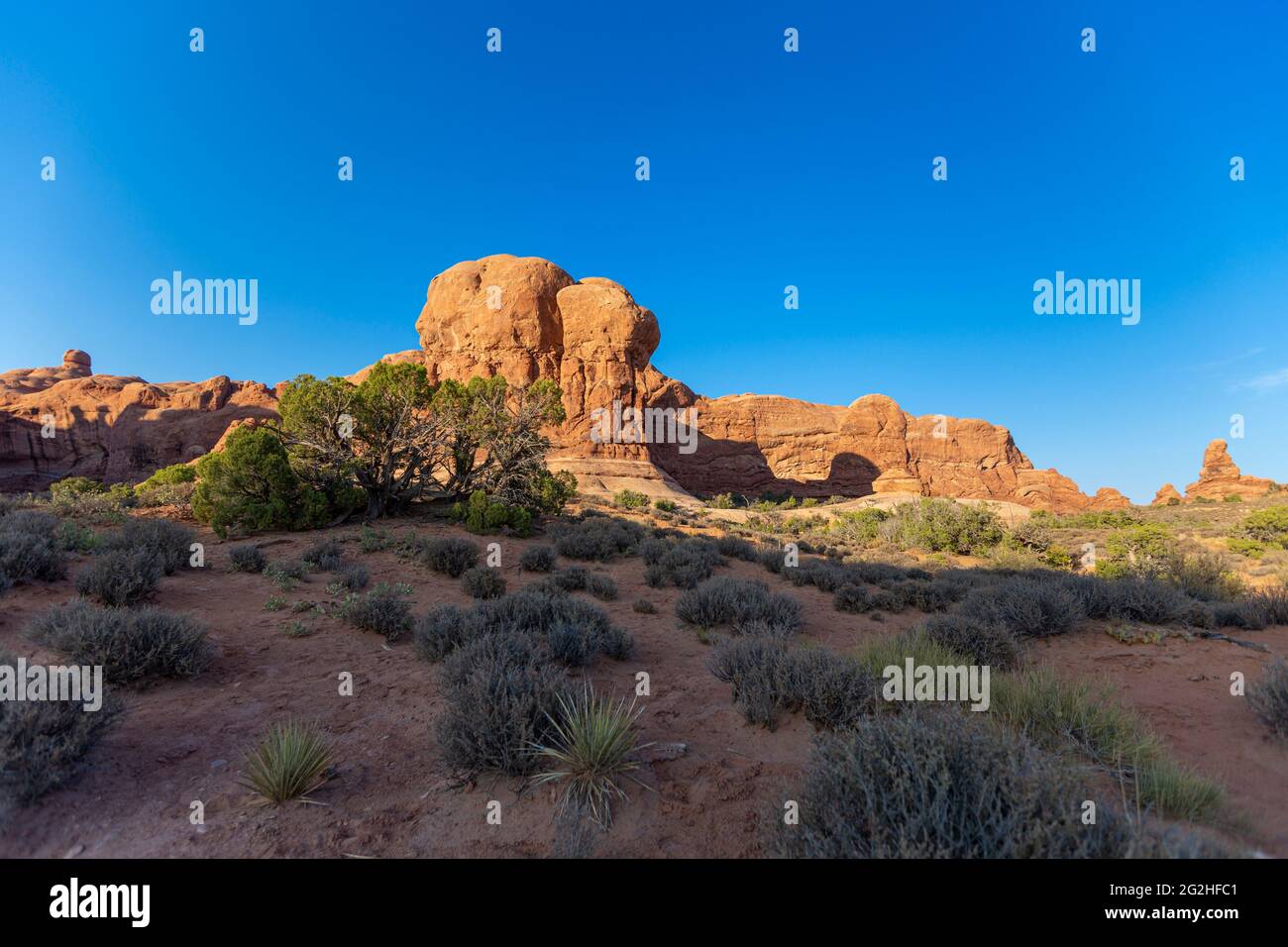 Scenic in nature hi-res stock photography and images - Alamy